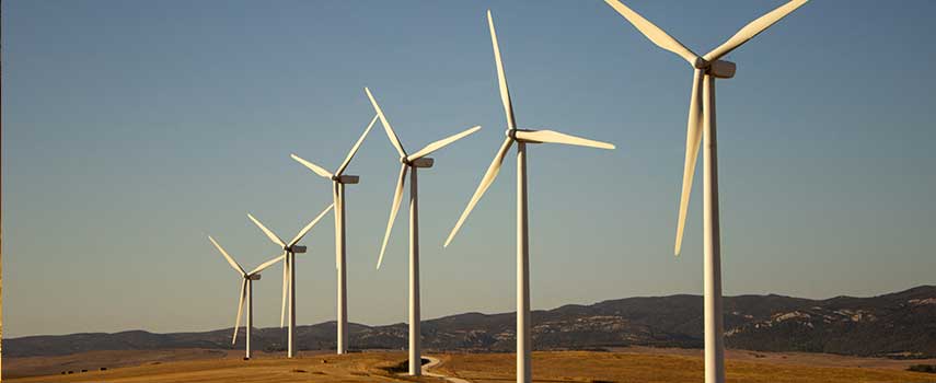 O Cepel - Relatório Anual - Cepel